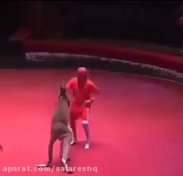 film tarsnak - تماشا